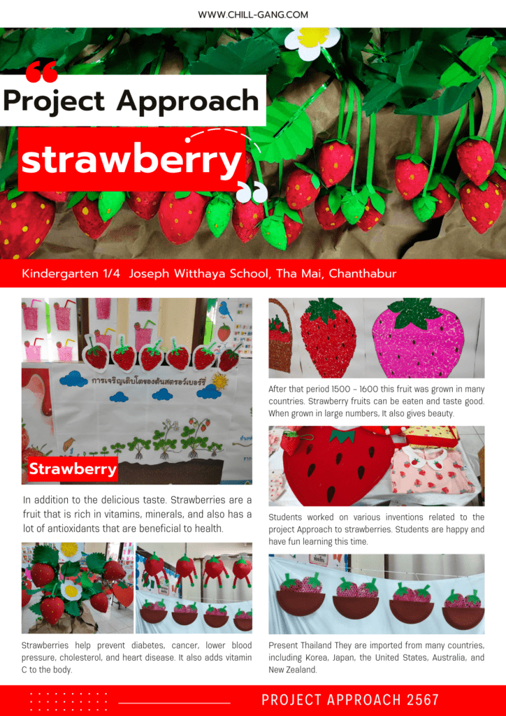 Project Approach เรื่องสตรอว์เบอรี่ 2567