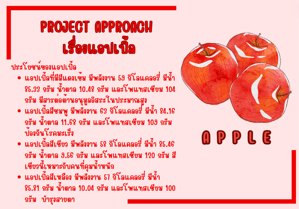 Project Approach เรื่องแอปเปิ้ล 2567 - แก๊งสายชิลล์ พากิน พาเที่ยว ทะเล ภูเขา วัด สอนว่ายน้ำ